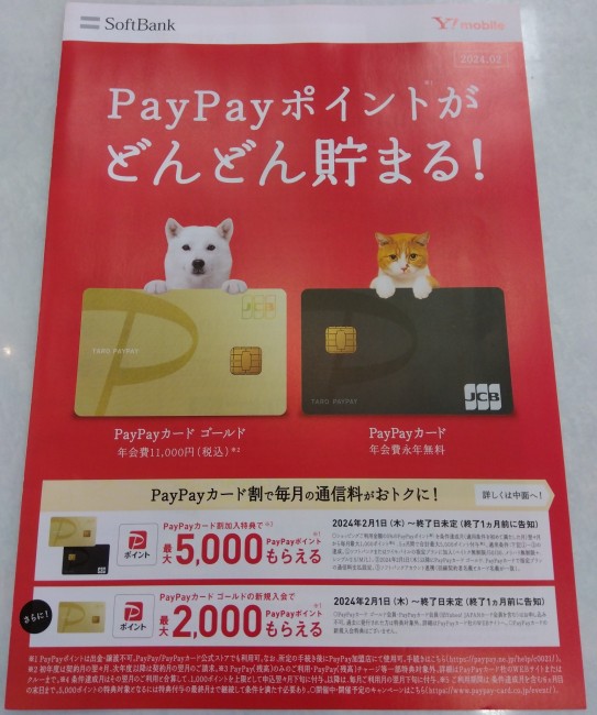 PayPayカードお申込み特典がリニューアルされました！ | 有限会社システムコミュニケイト